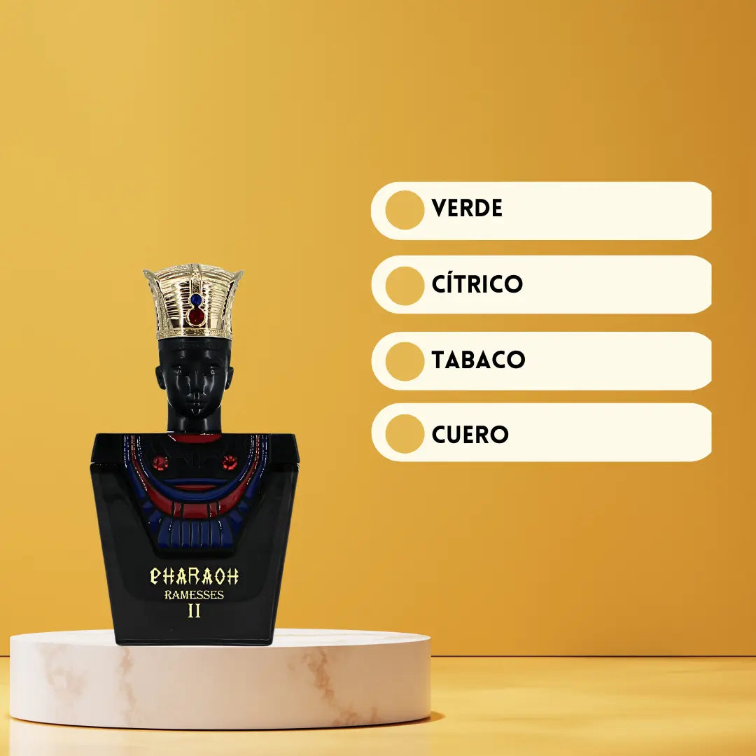 Bharara Pharaoh Ramesses II – Perfume Árabe Unisex con Notas Especiadas y Amaderadas – Eau de ...