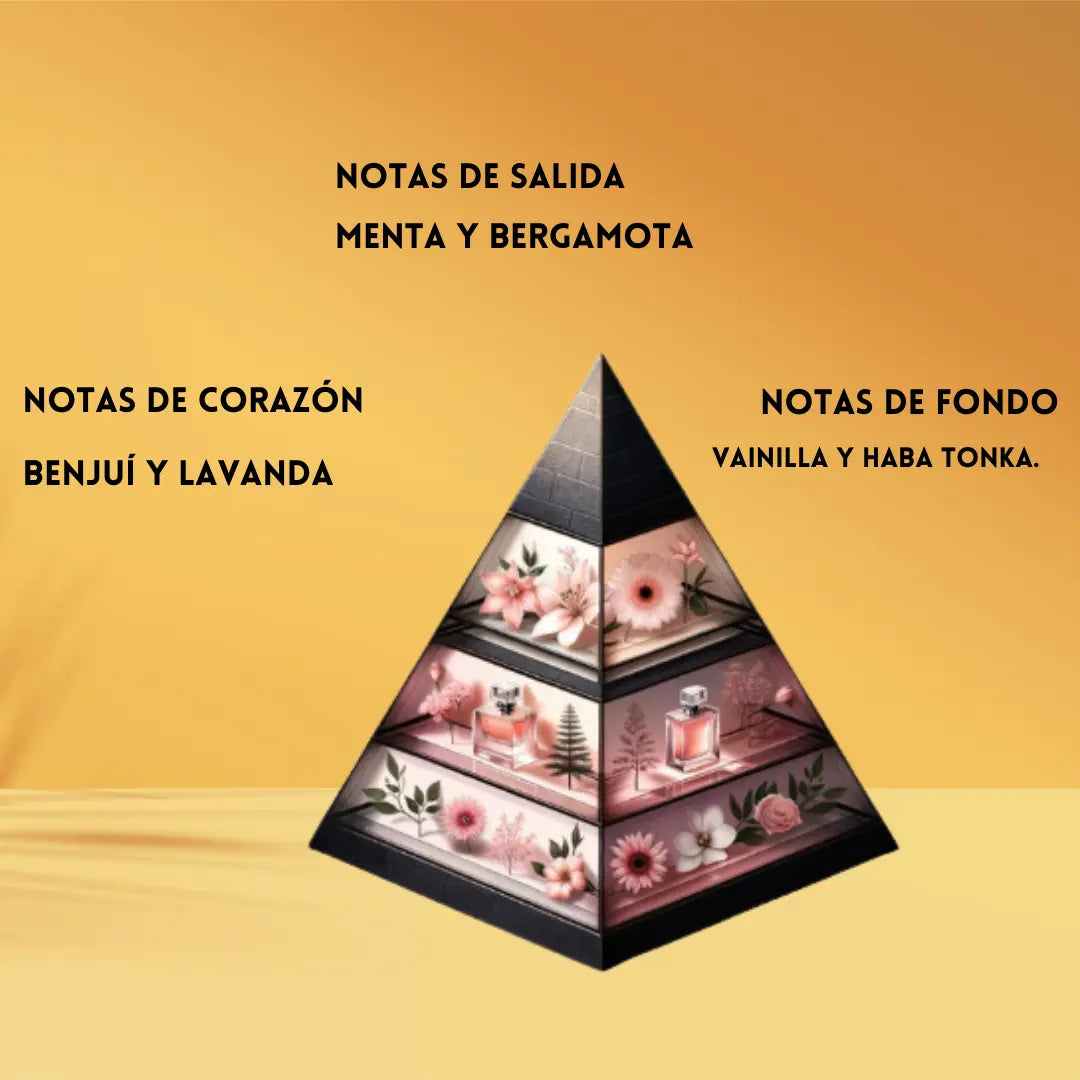 Rayhaan Elixir 100ml - Perfume Masculino con Notas de Menta, Lavanda y ...